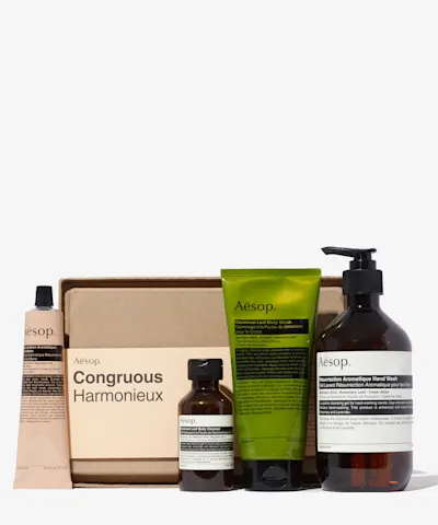 Aēsop Congruous Elaborate Body Kit at BEAUTY BAY