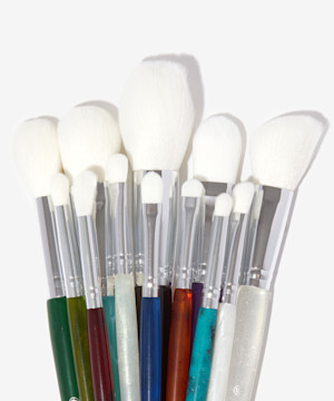 BH Cosmetics Birthstone Brush Vault 12 Piece Face & Eye Brush Set at ...